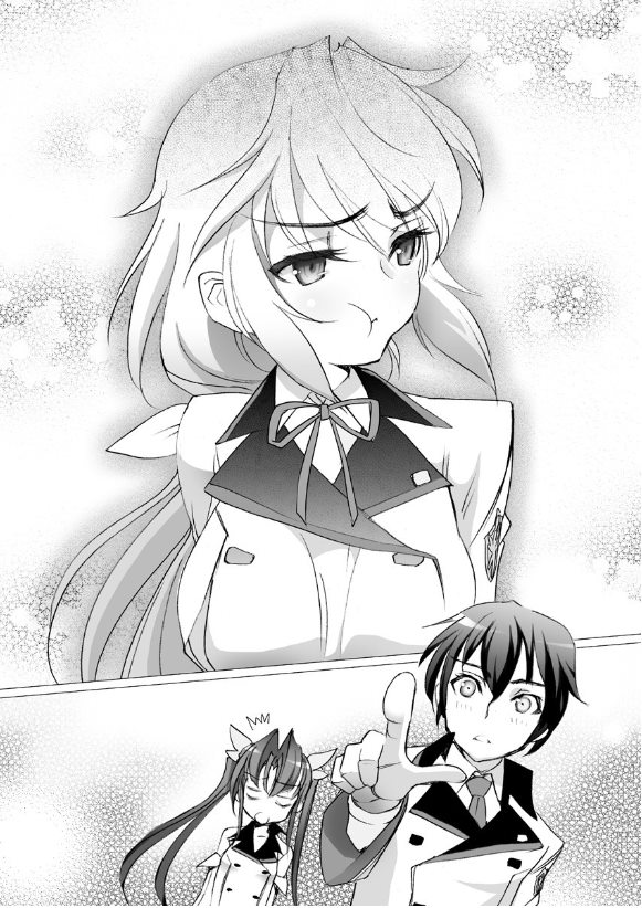 infinite stratos ill3 – English Light Novels